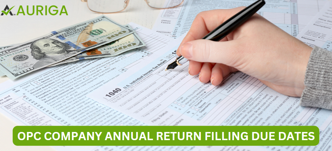 OPC COMPANY ANNUAL RETURN FILLING DUE DATES - AURIGA ACCOUNTING PRIVATE ...