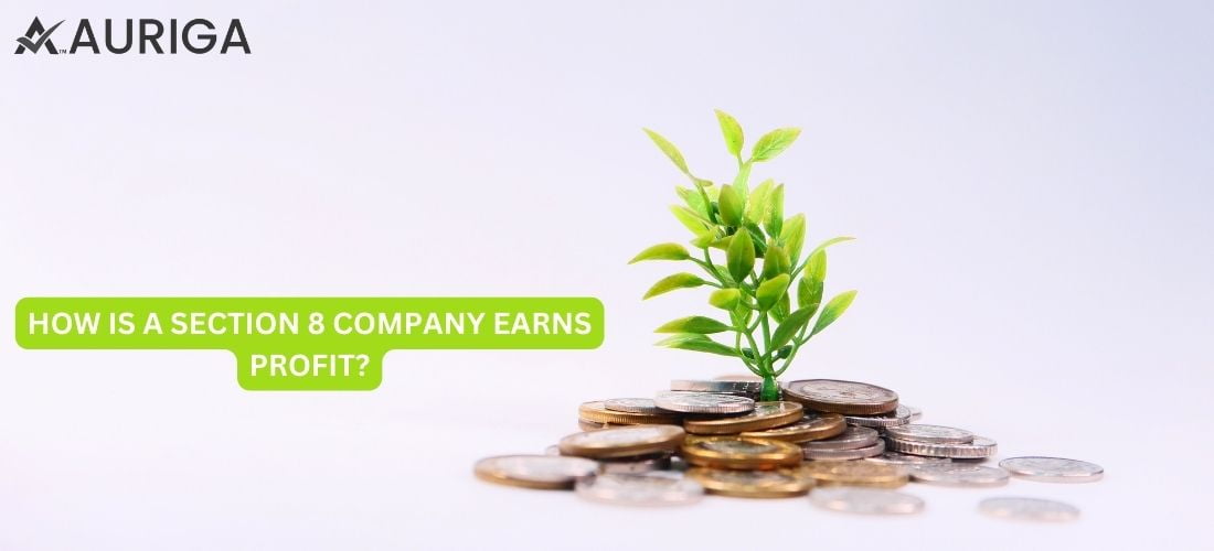 CAN A SECTION 8 COMPANY EARN PROFIT? - AURIGA ACCOUNTING PRIVATE LIMITED