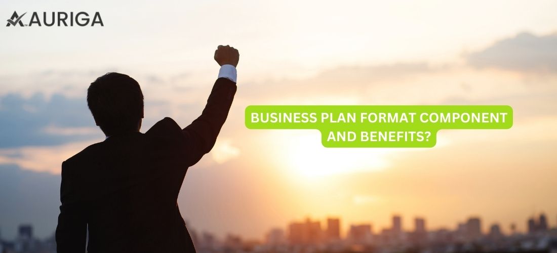 BUSINESS PLAN FORMAT COMPONENT AND BENEFITS ? NO.1 GUIDE - AURIGA ...
