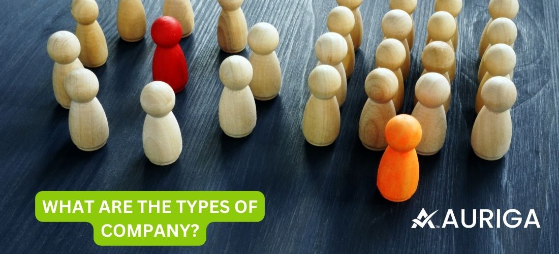 WHAT ARE THE TYPES OF COMPANY? JUST 5 STEPS - AURIGA ACCOUNTING PRIVATE ...